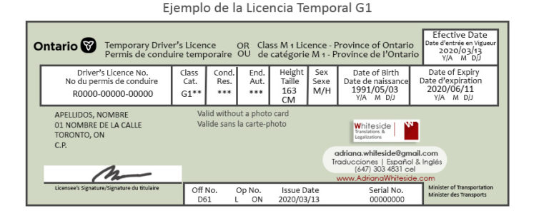 Cada paso para obtener la licencia en Toronto, Ontario - Adriana Whiteside