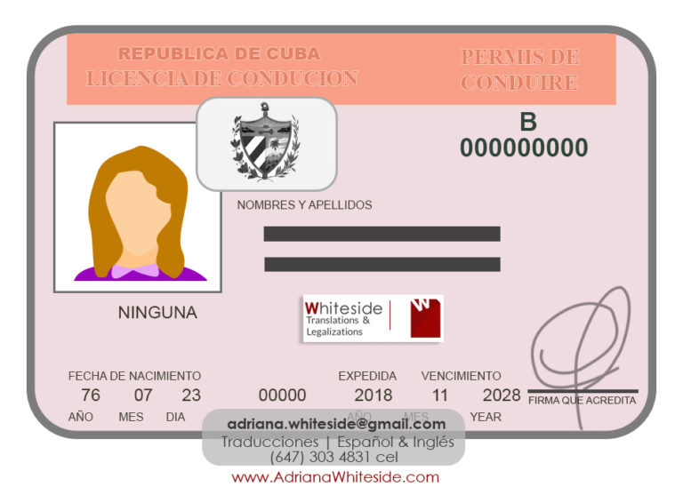 Cada paso para obtener la licencia en Toronto, Ontario - Adriana Whiteside